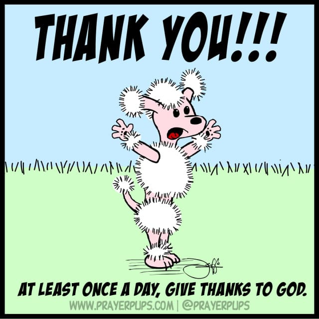 Give Thanks To God | Christian Cartoons From Prayer Pups Christian ...