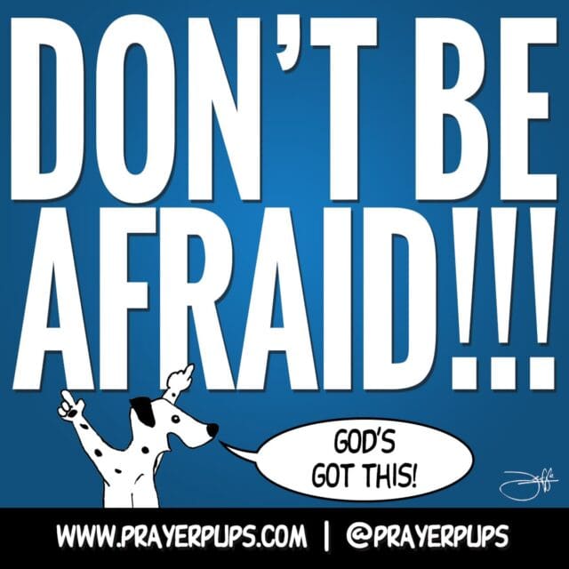 Do Not Be Afraid - Christian Meme | Christian Cartoons From Prayer Pups ...